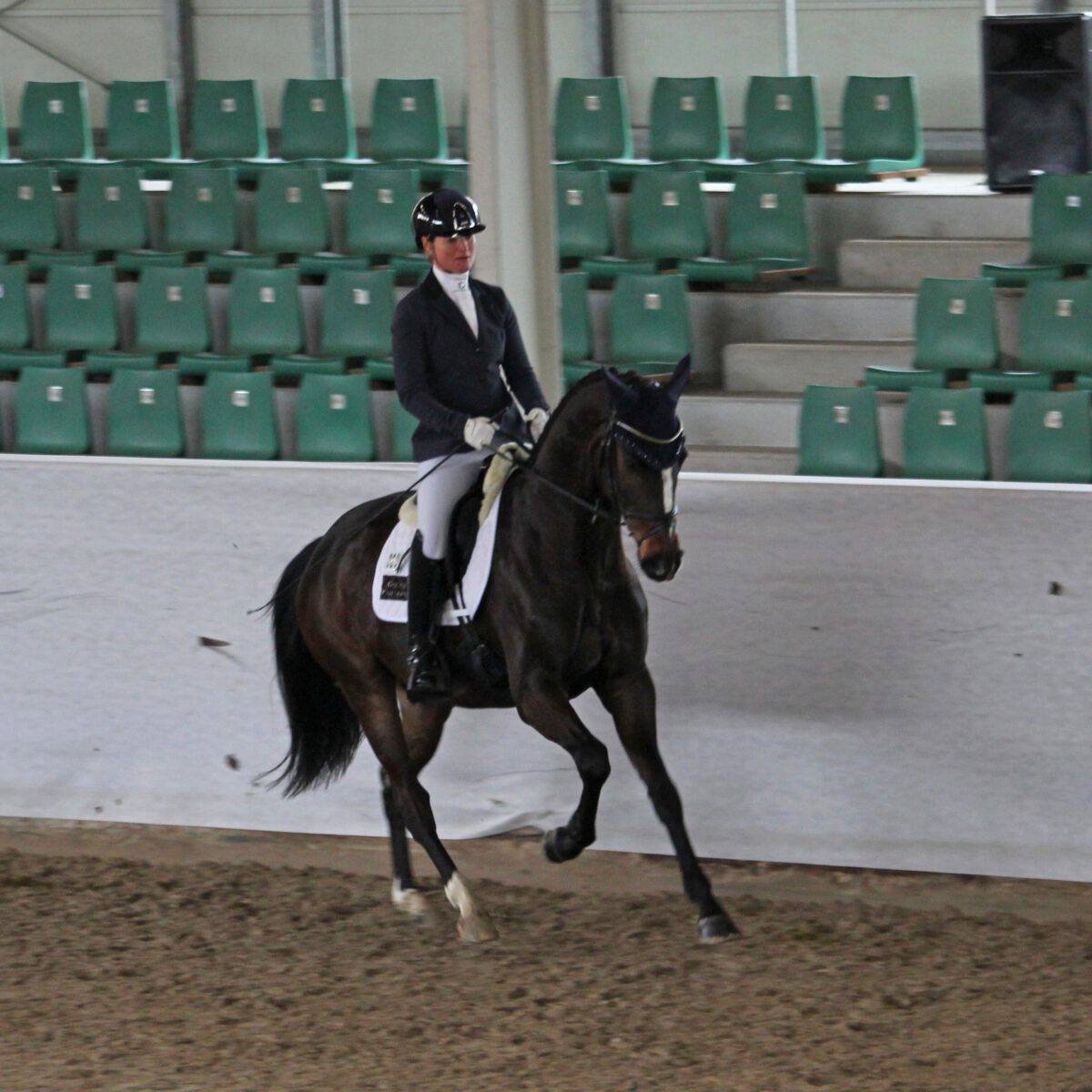 Kristine Möller-Engel & Dreamboule Siegerpaar in 1. Qualifikation zur ...
